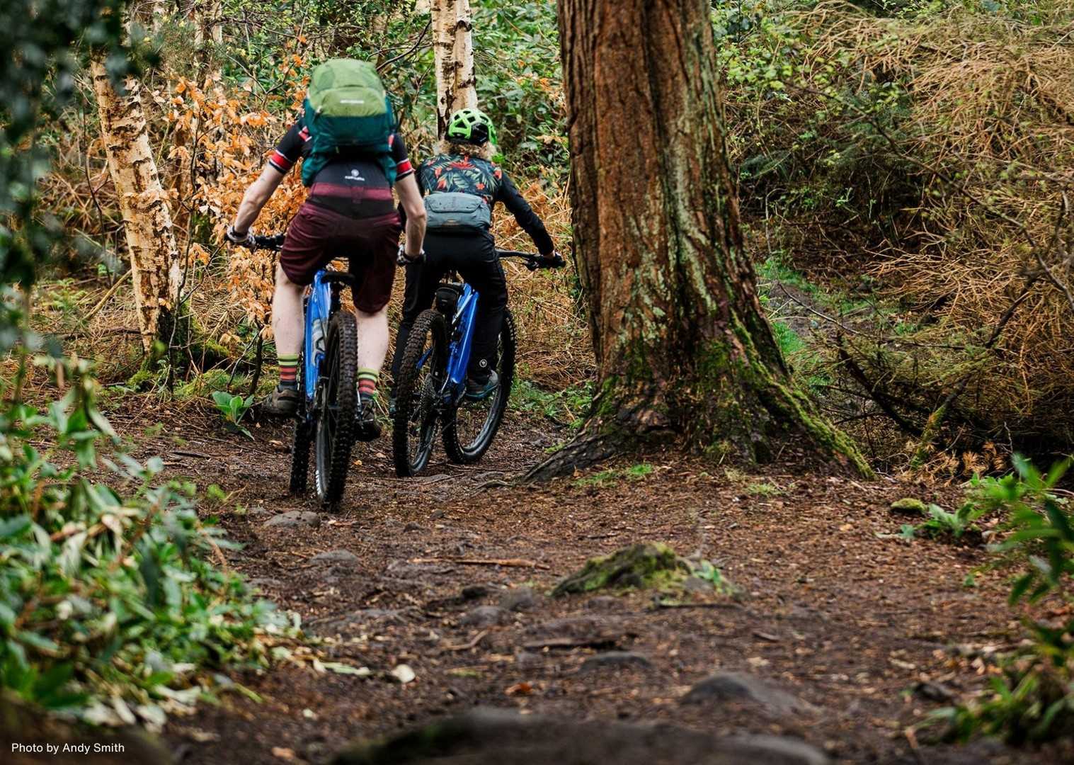 UK Northumberland - Sandstone Way Guided Mountain Bike Tour
